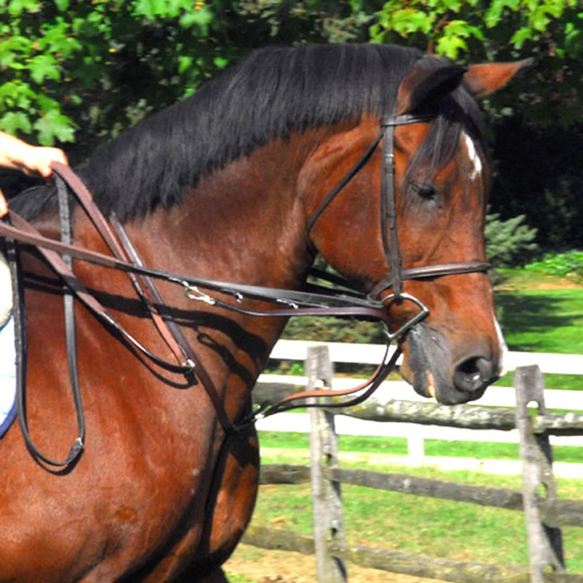 German Martingales — Vision Saddlery